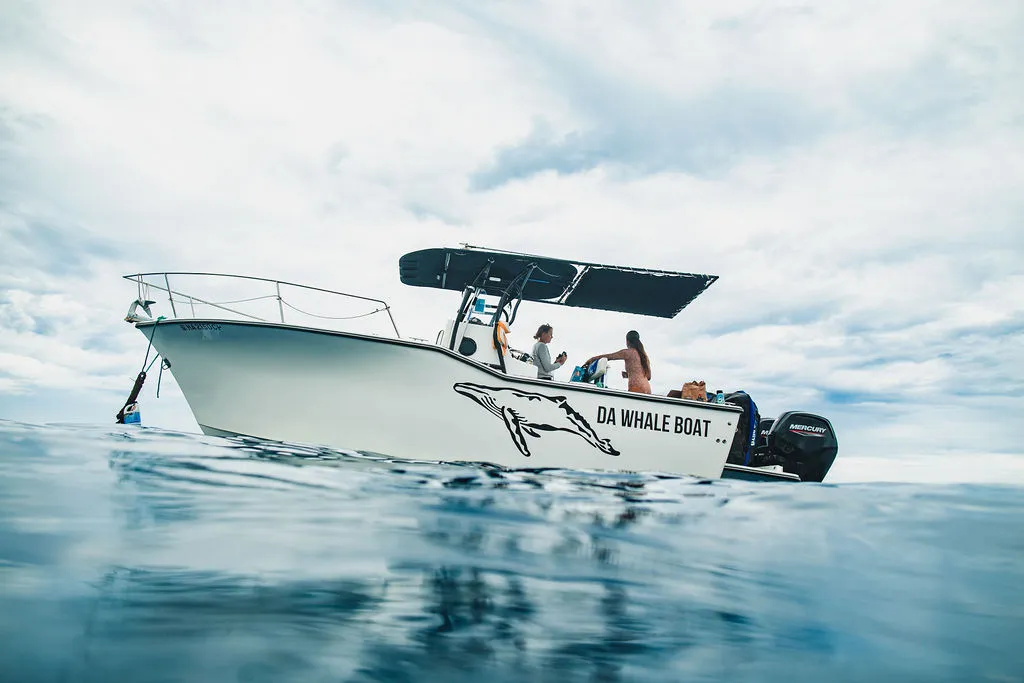 The Fleet | Da Whale Boat